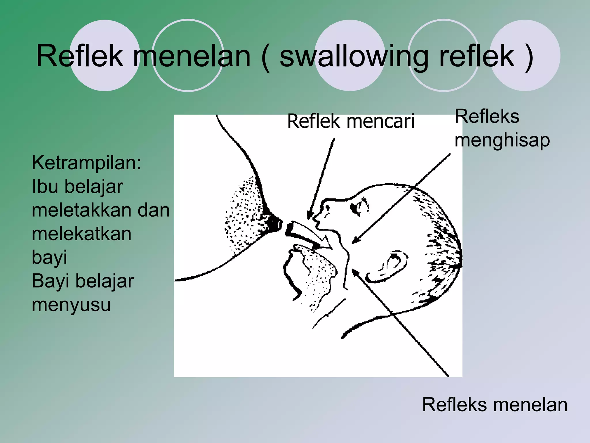 Asi eksklusif | PPTX