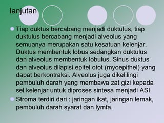 Asi eksklusif | PPTX