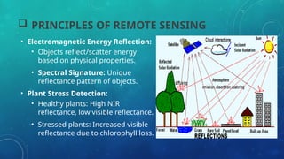 remote sensing as pest forecasting model in agriculture.pptx