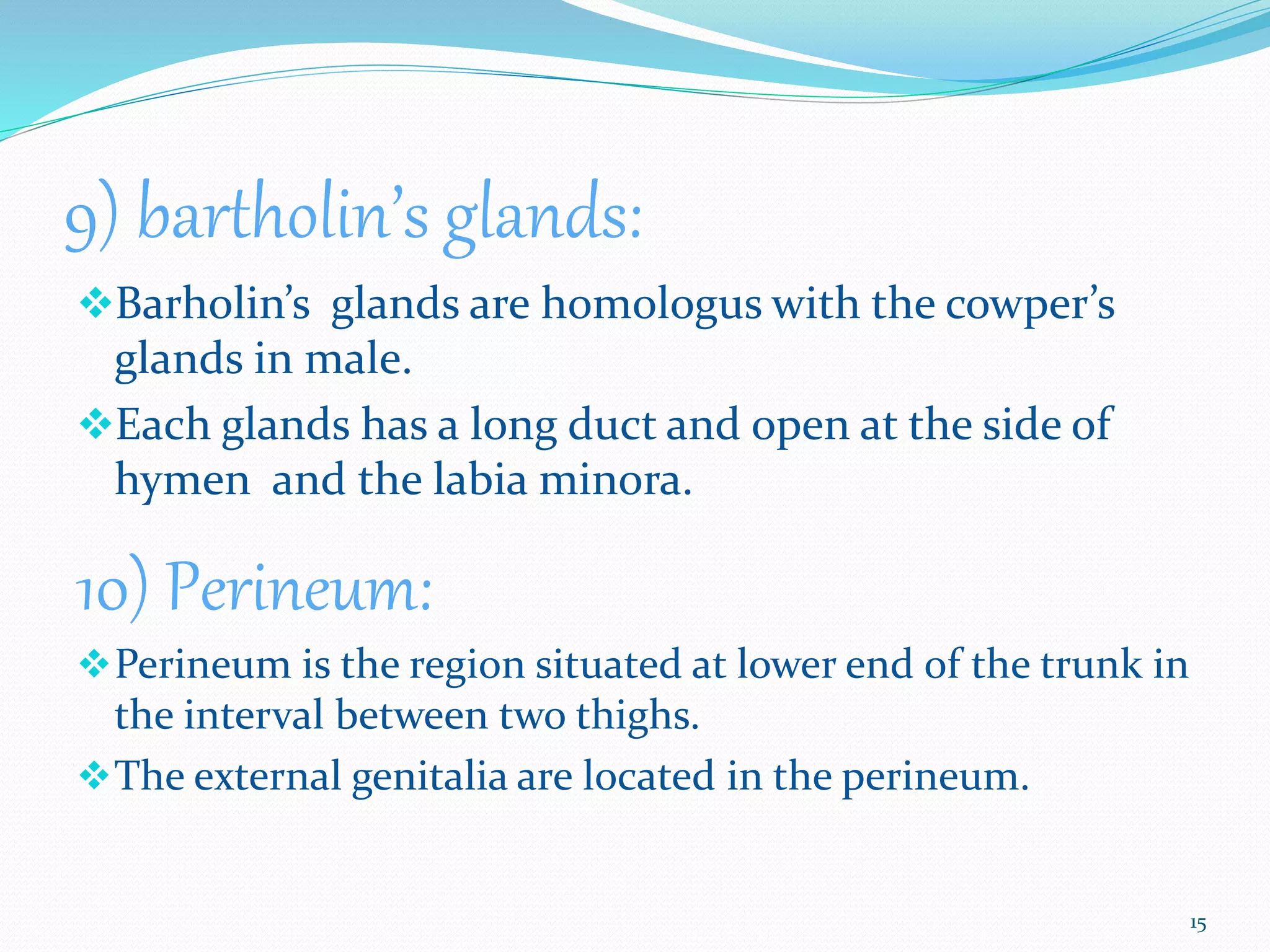 Female Reproductive System | PPTX