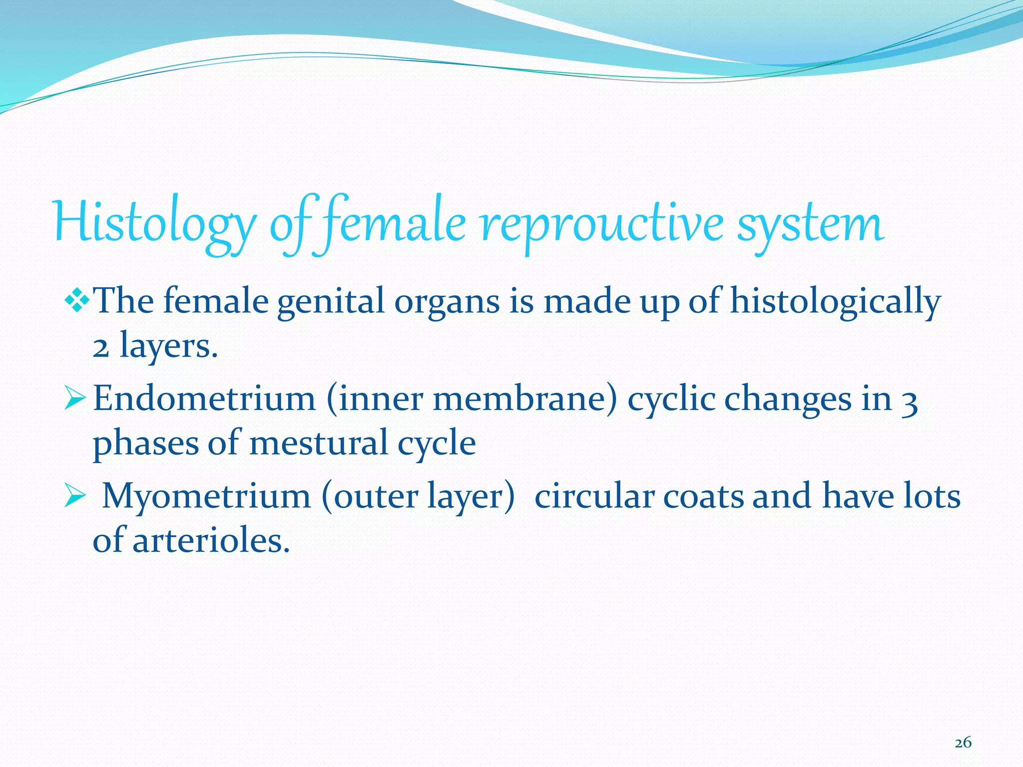 Female Reproductive System | PPTX