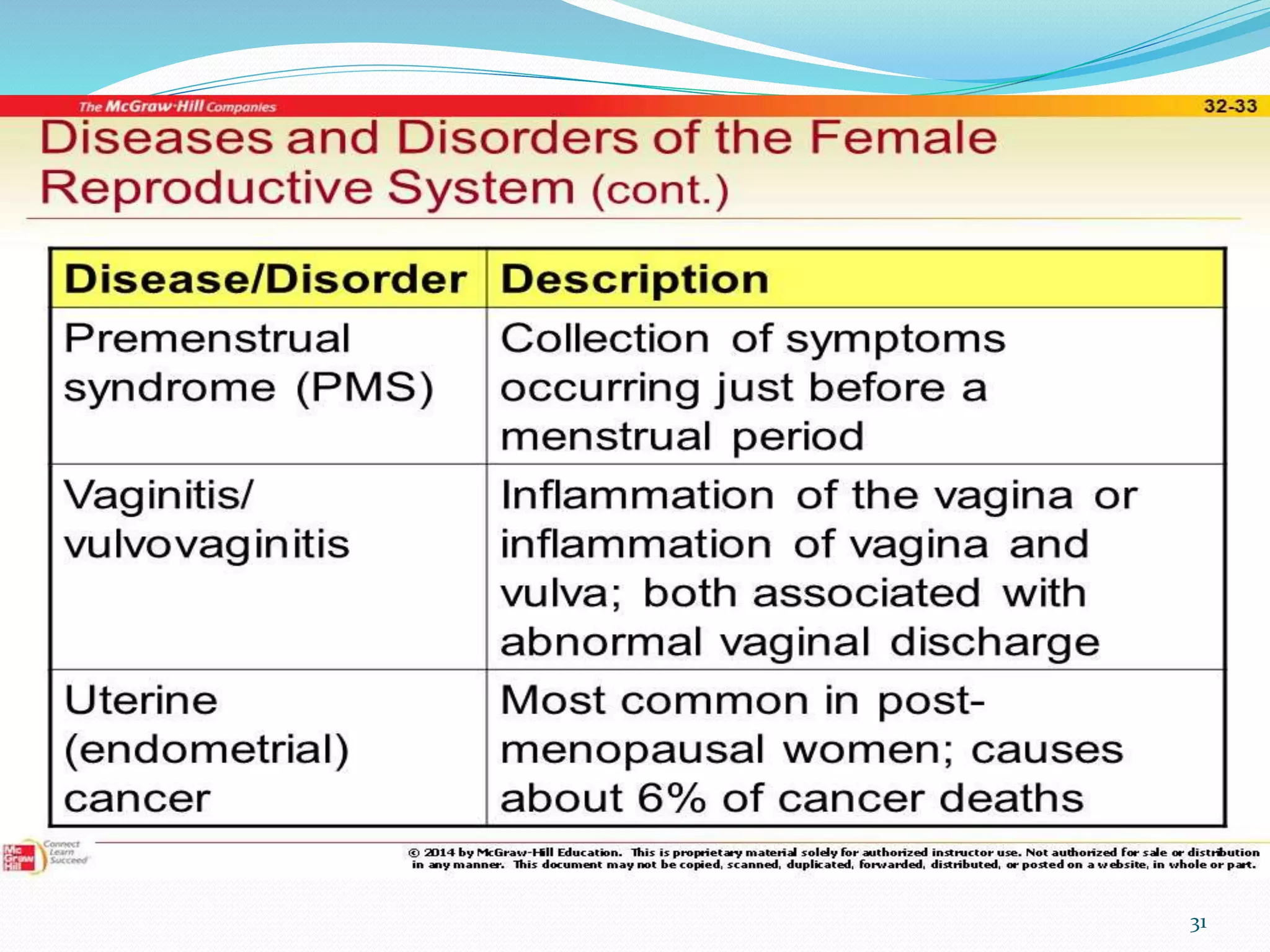 Female Reproductive System | PPTX