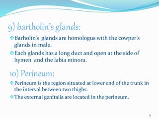 Female Reproductive System | PPTX