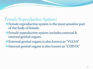 Female Reproductive System | PPTX