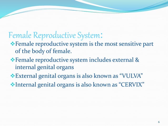 Female Reproductive System | PPT