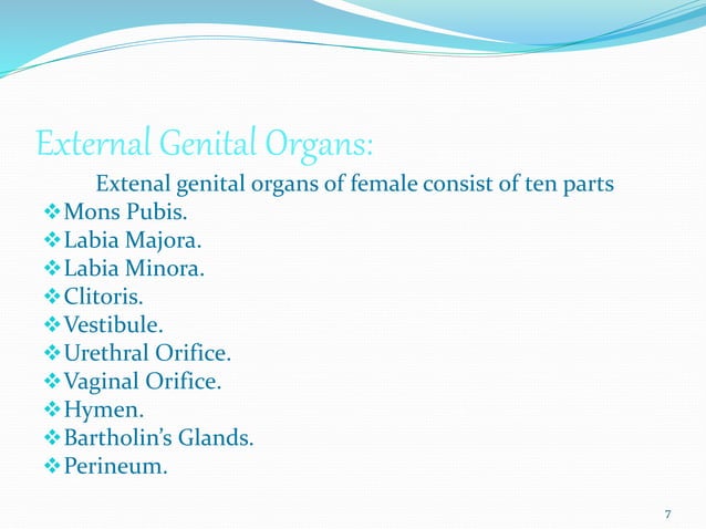 Female Reproductive System | PPT
