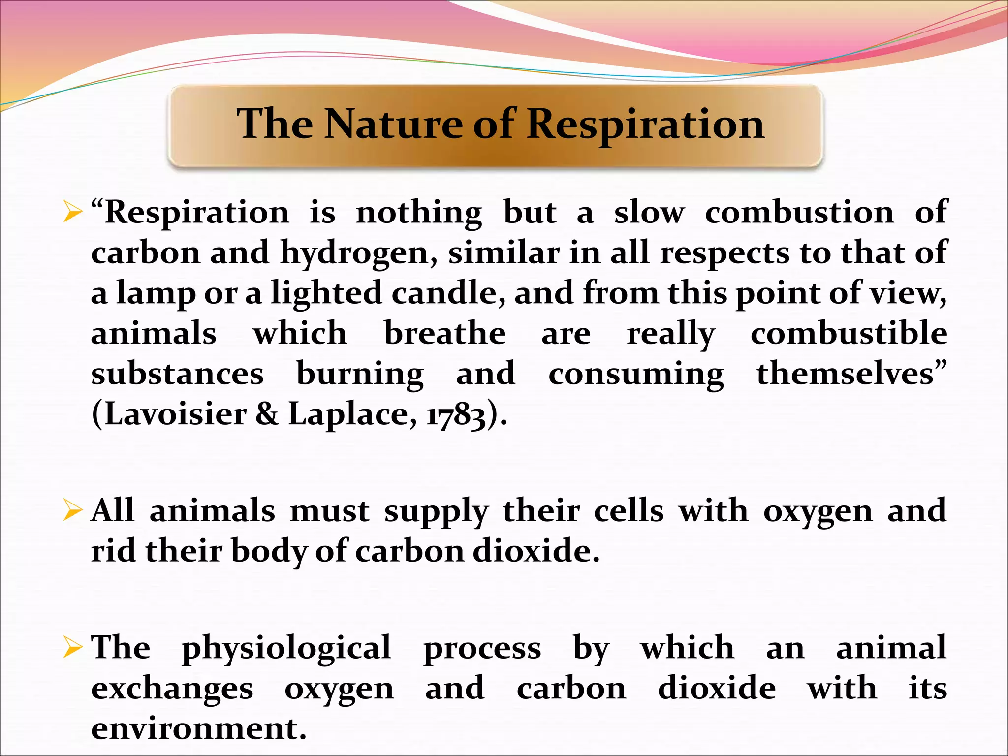 fish RESPIRATION.ppt