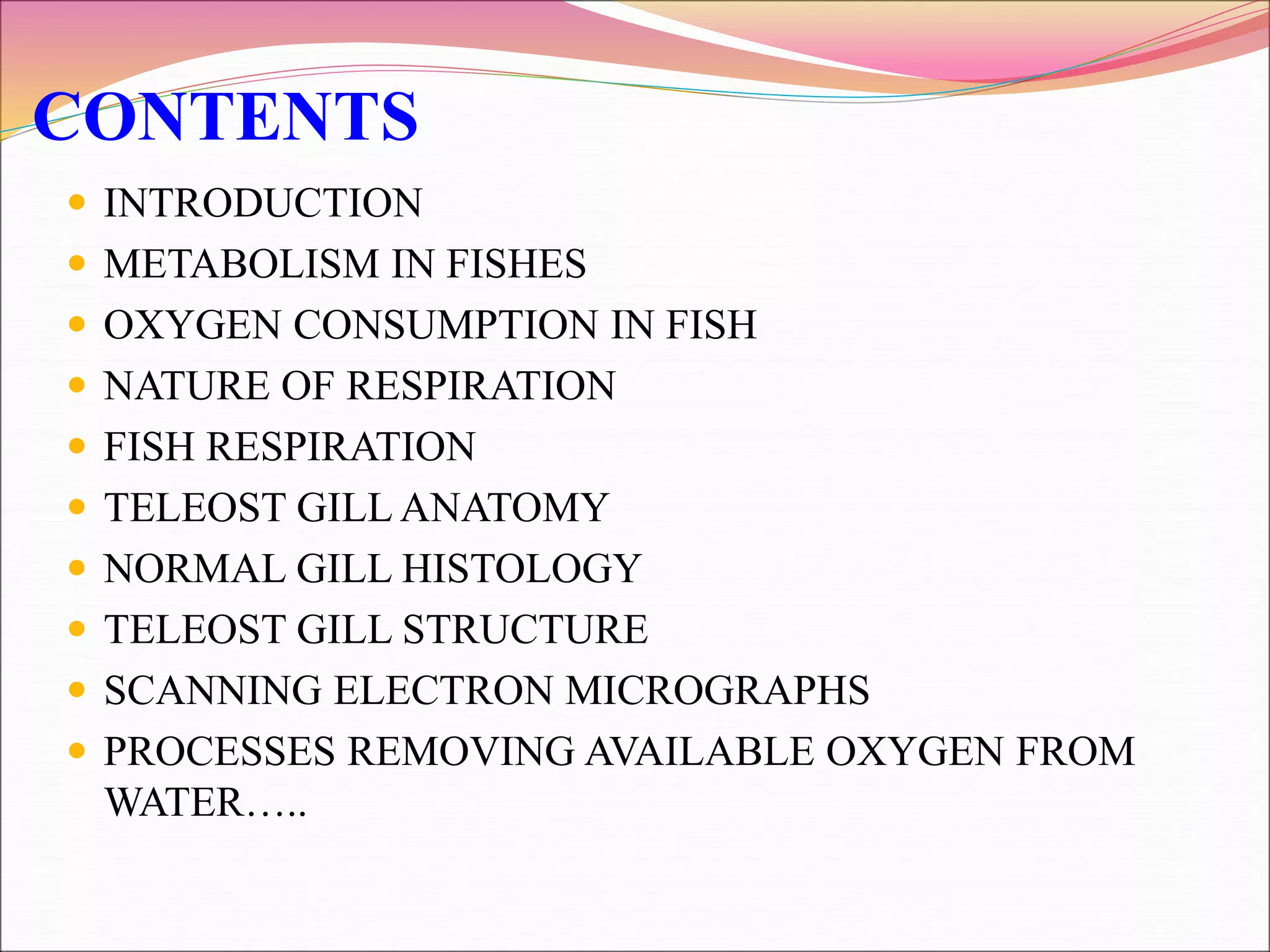 fish RESPIRATION.ppt