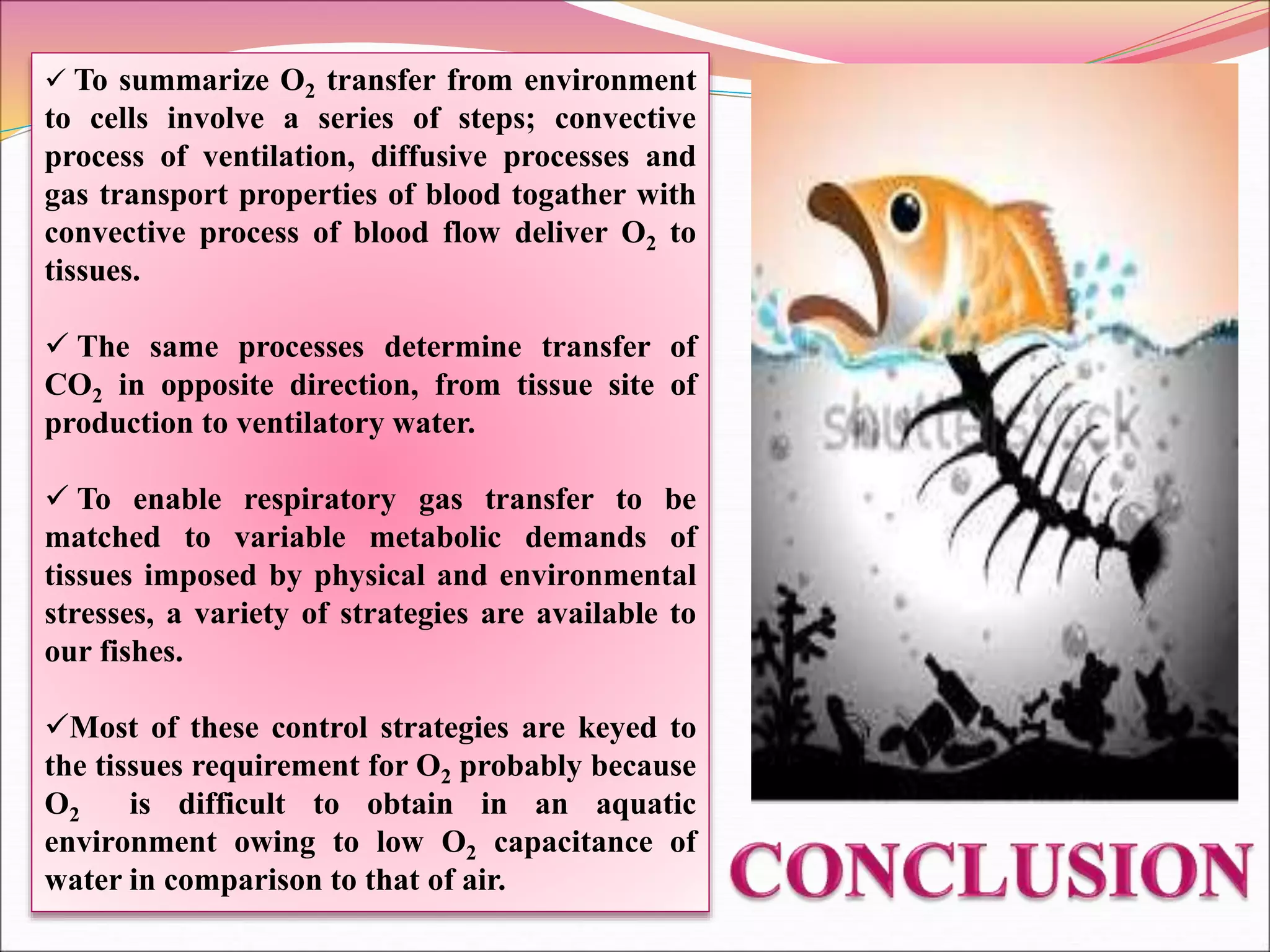 fish RESPIRATION.ppt