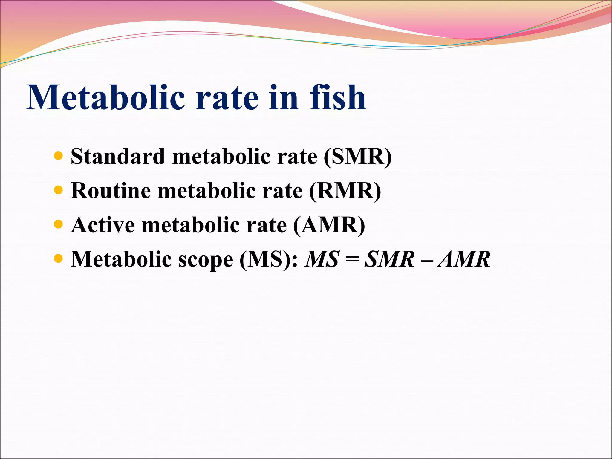 fish RESPIRATION.ppt