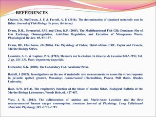 fish RESPIRATION.ppt