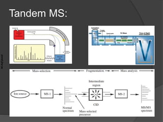 Tandem Mass spectrometry | PPTX