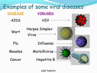 Virus Examples
