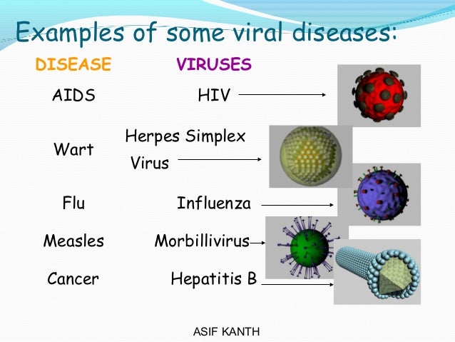 general organization and characterstics of virus