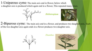 asif khan presentation.pptx............. | PPT