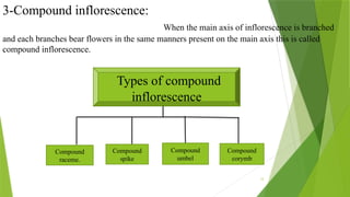 asif khan presentation.pptx............. | PPT