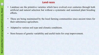 description about landraces there origin | PPTX
