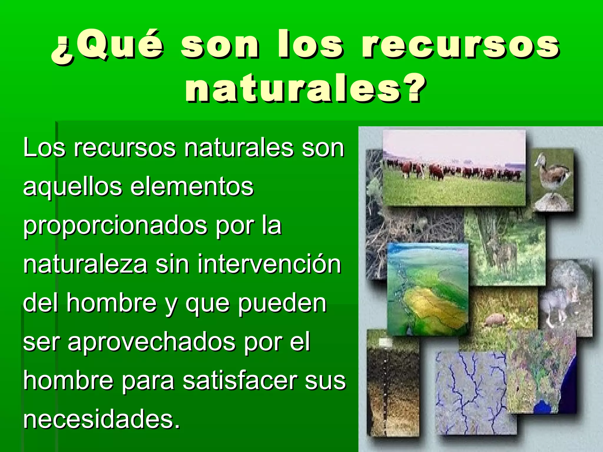RECURSOS NATURALES, TIPOS Y PROTECCION | PPT