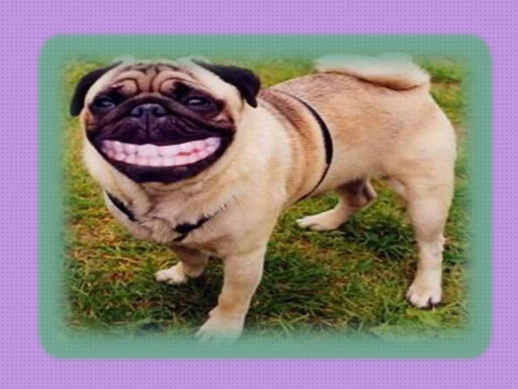 Building Learning Comitment 2019 | PPT