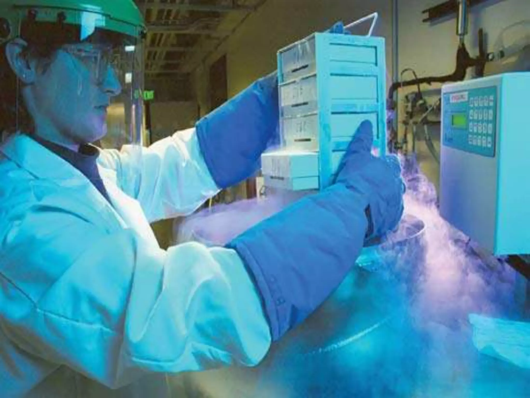 Chemical treatment prior to freezing: antioxidants, cryoprotectants and ...