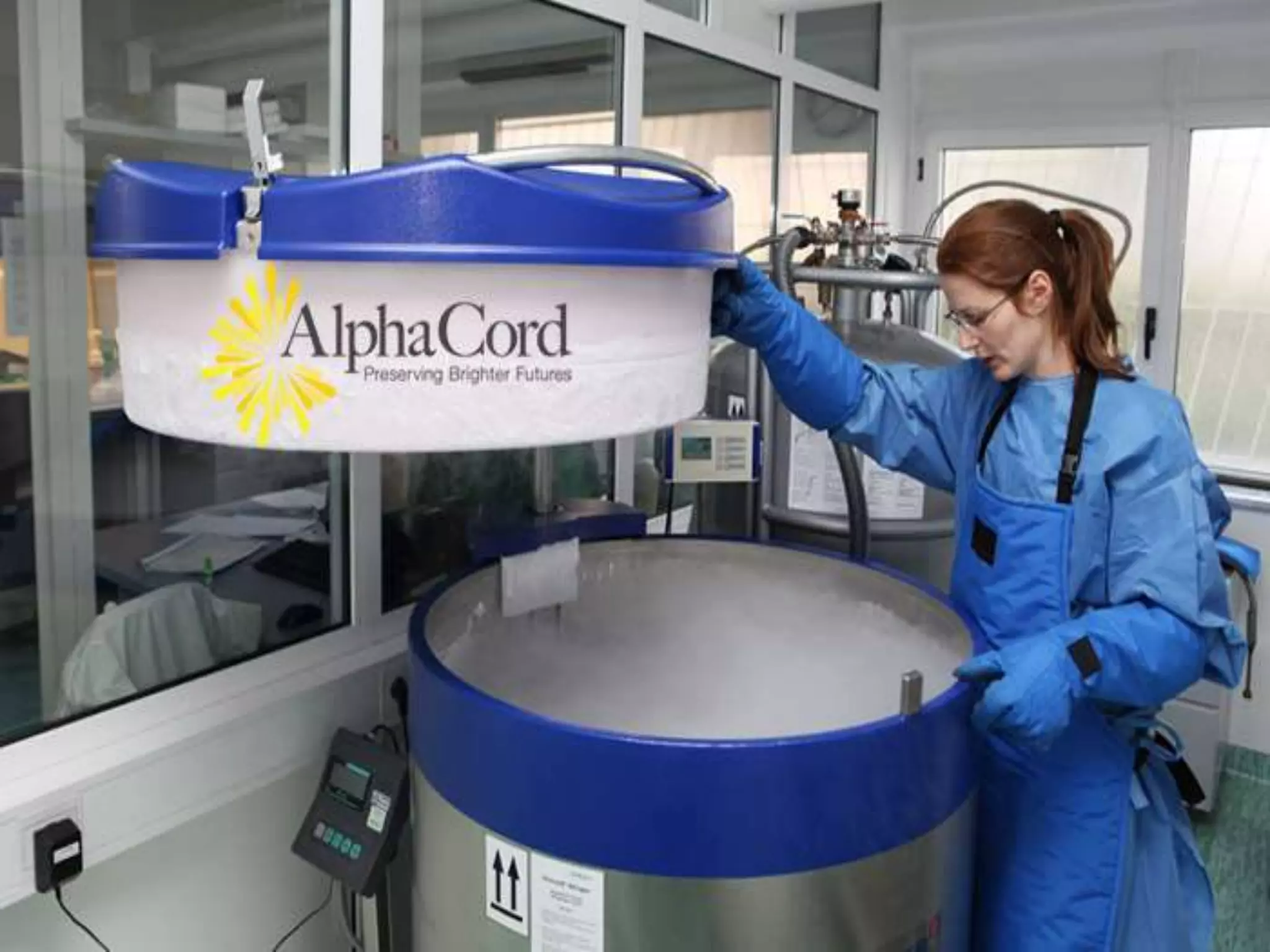 Chemical treatment prior to freezing: antioxidants, cryoprotectants and ...