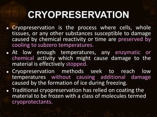 Chemical treatment prior to freezing: antioxidants, cryoprotectants and ...