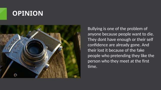 Presentation on Research Project for Nihongo 8.pptx