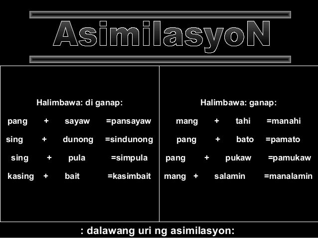 Asimilasyon