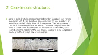 SEDIMENTARY STRUCTURES | PPTX