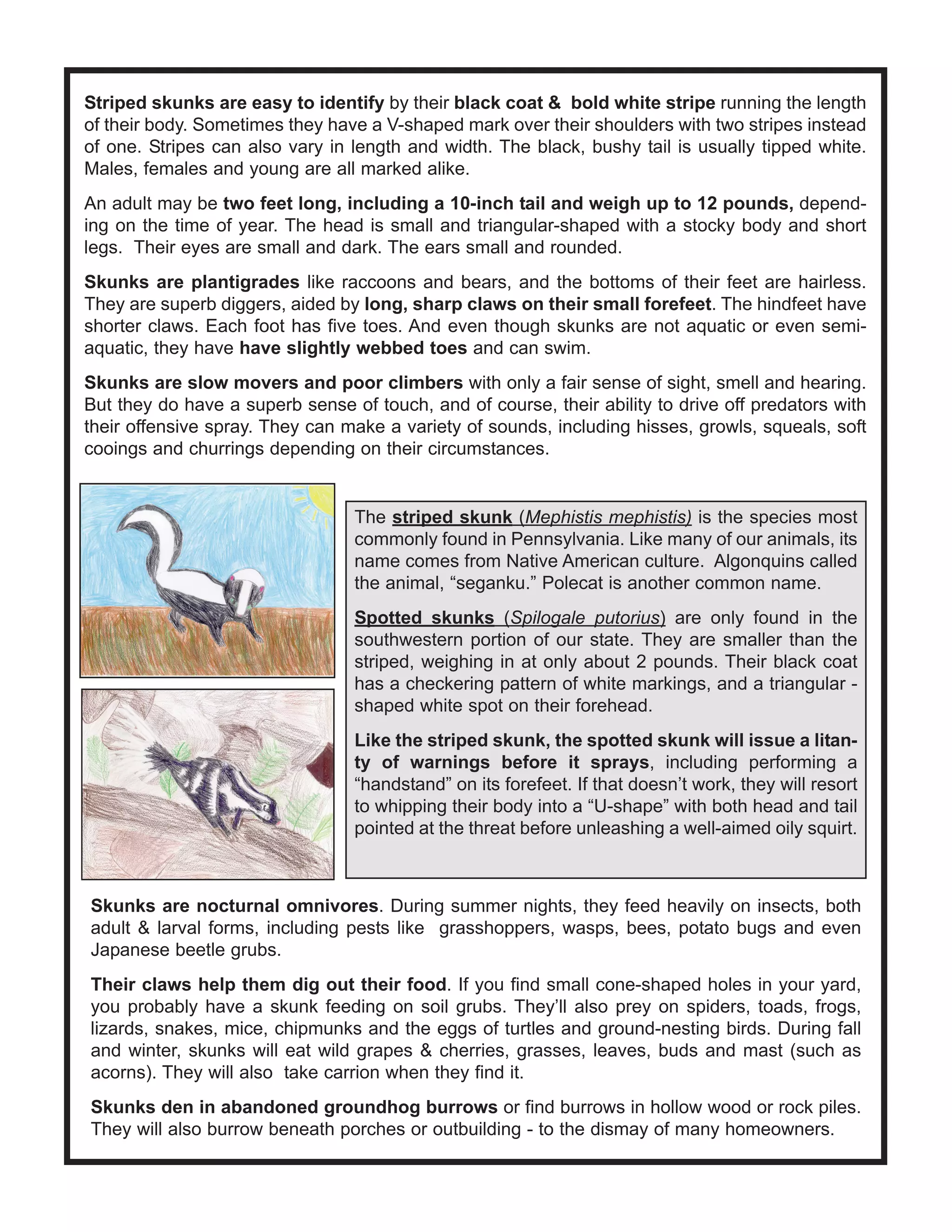 A Simple Review of Skunks | PDF