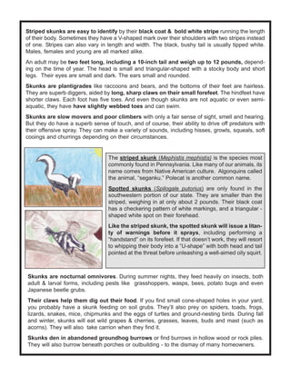A Simple Review of Skunks | PDF