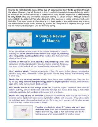 A Simple Review of Skunks | PDF