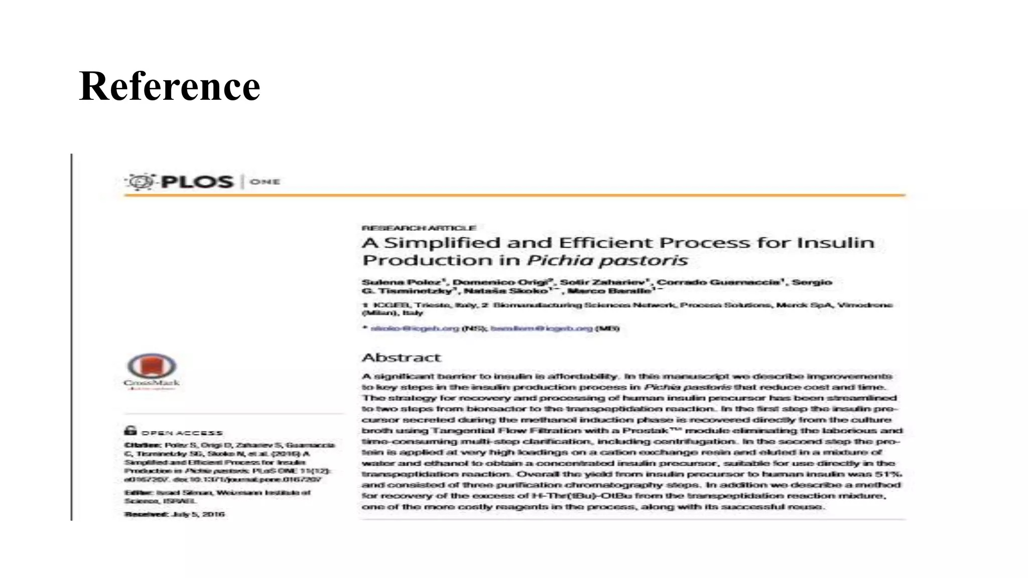 A simplified and efficient process for insulin production in pichia ...
