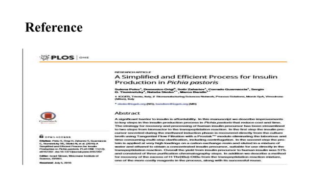 A simplified and efficient process for insulin production in pichia ...