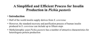 A simplified and efficient process for insulin production in pichia ...