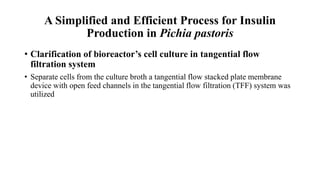 A simplified and efficient process for insulin production in pichia ...