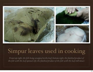 A simpur story | PDF