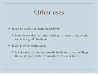 A simpur story | PDF