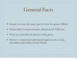 A simpur story | PDF