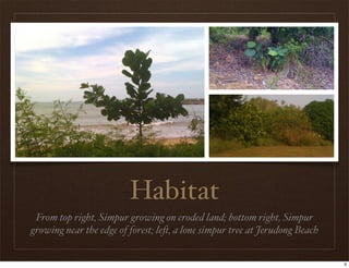 A simpur story | PDF