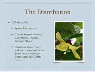 A simpur story | PDF