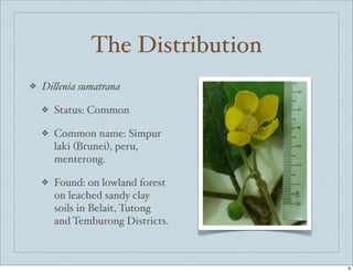 A simpur story | PDF