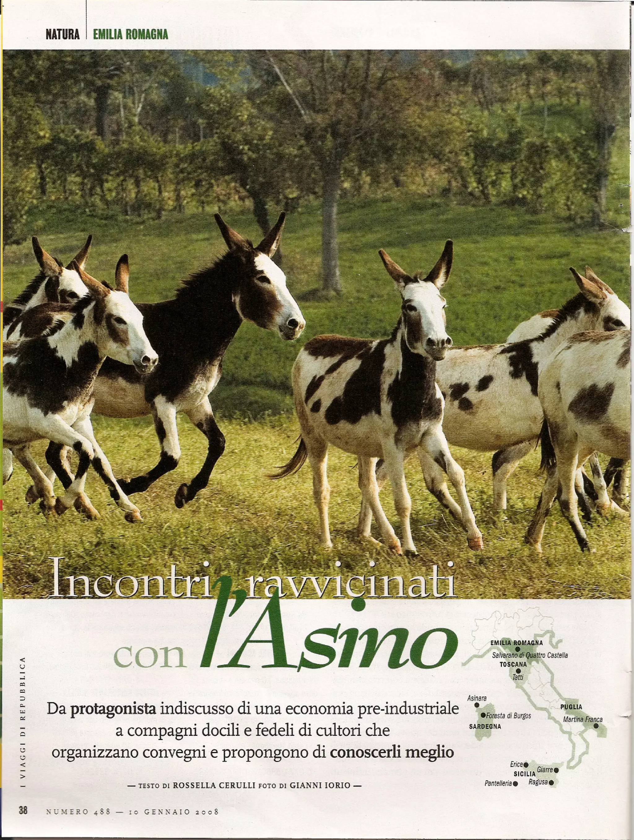 Asini | PDF