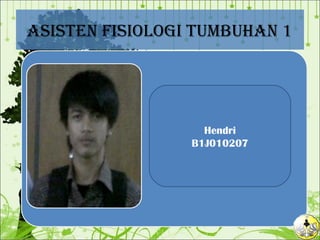 Asisten fisiologi tumbuhan 1 asistensi fistum 1 | PPT