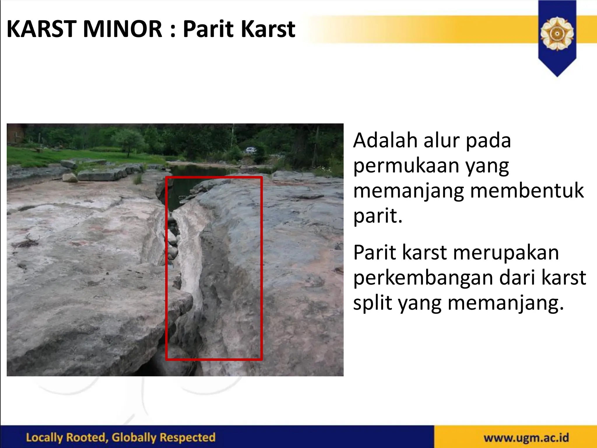 Bentang alam morfologi kars, Pembentukan, Jenis dan lainnya | PDF