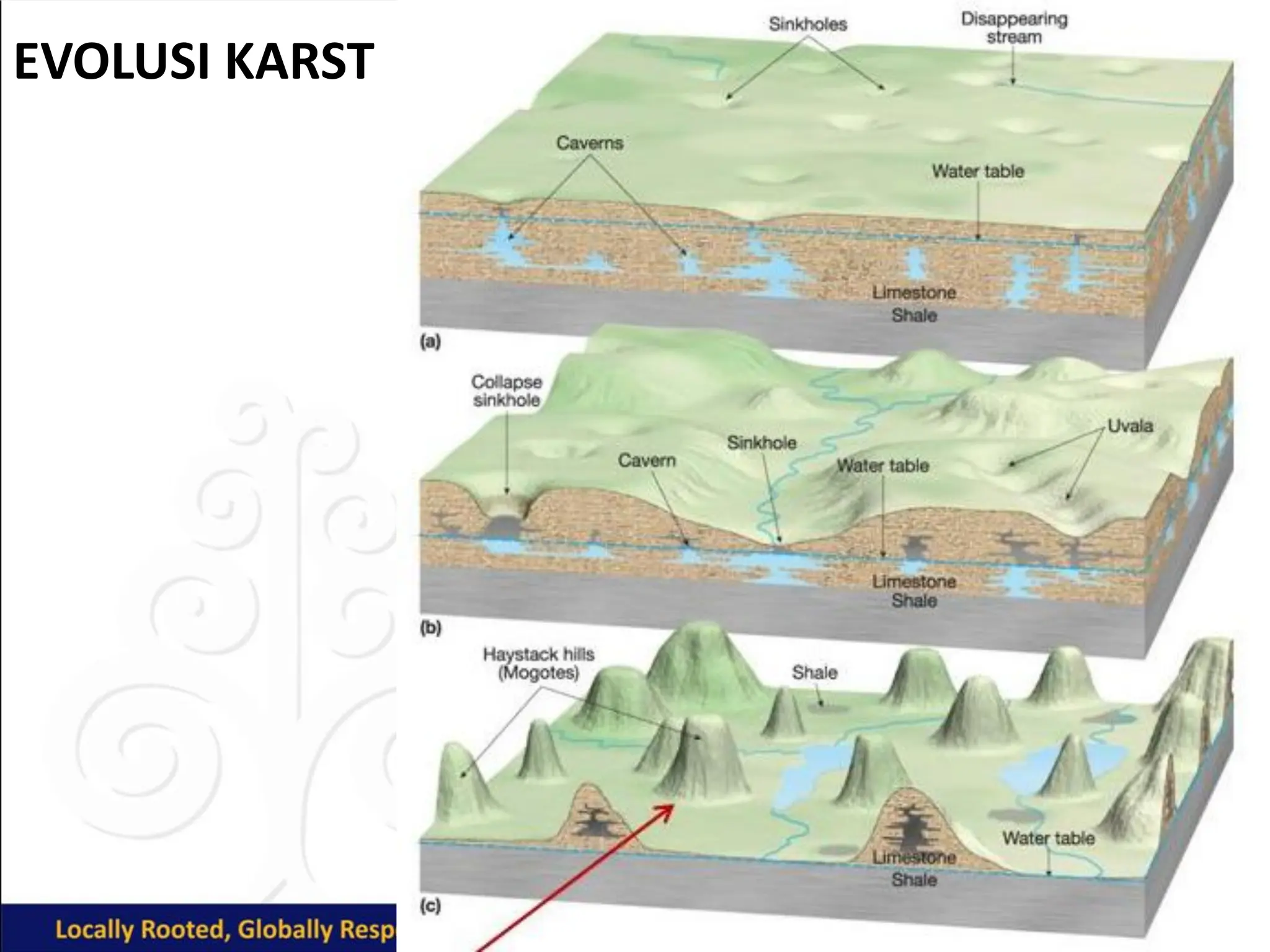 Bentang alam morfologi kars, Pembentukan, Jenis dan lainnya | PDF