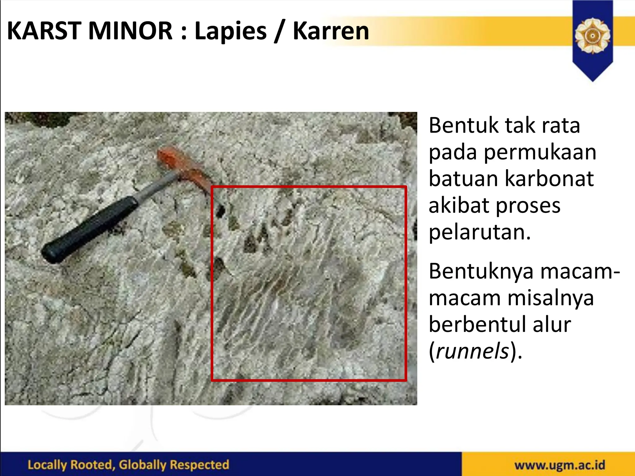 Bentang alam morfologi kars, Pembentukan, Jenis dan lainnya | PDF