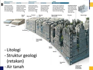 Bentang alam morfologi kars, Pembentukan, Jenis dan lainnya | PDF
