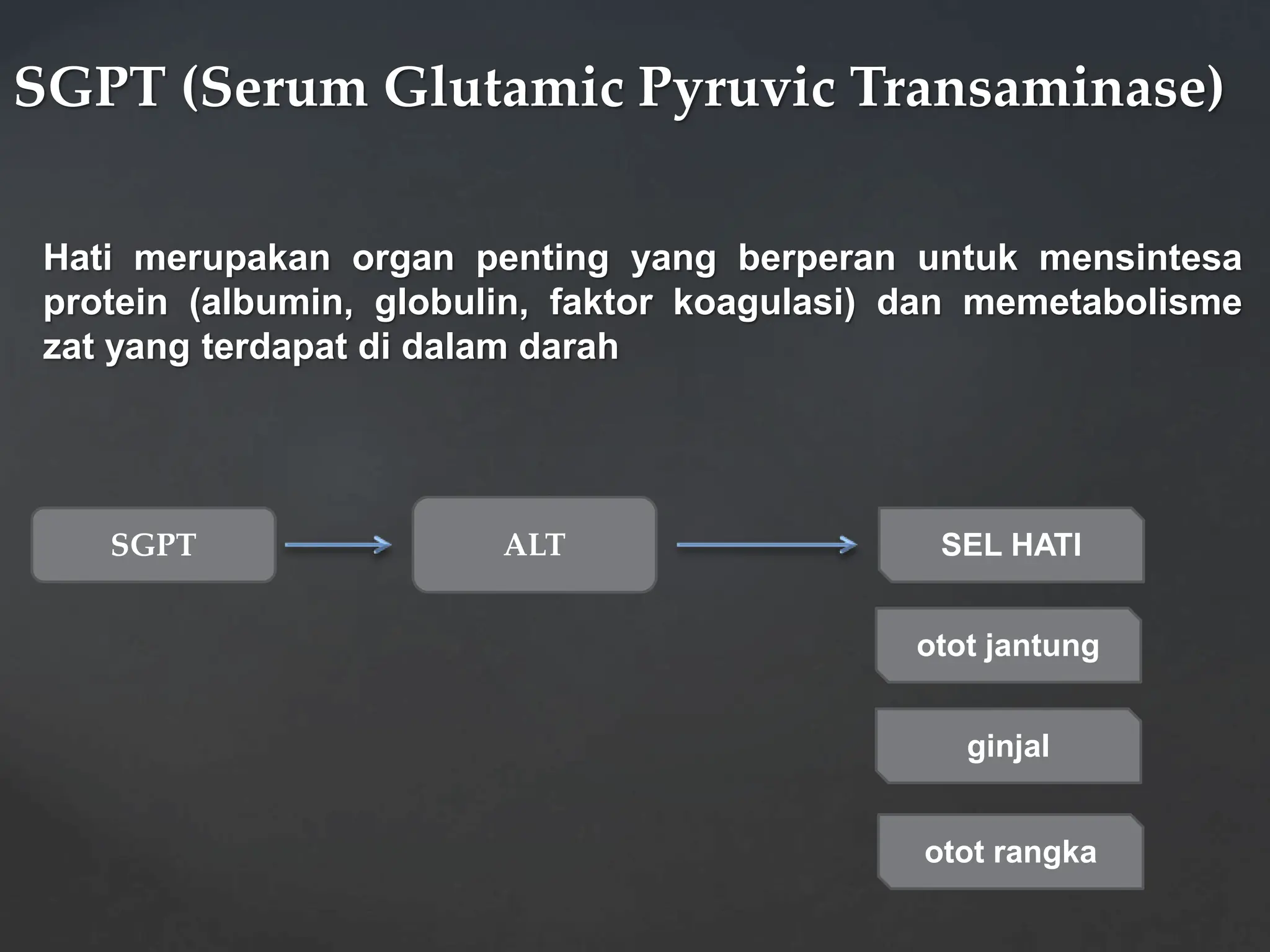 Serum Glutamic Transaminase Piruvat PPTX | PPTX