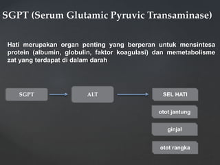 Serum Glutamic Transaminase Piruvat PPTX | PPTX